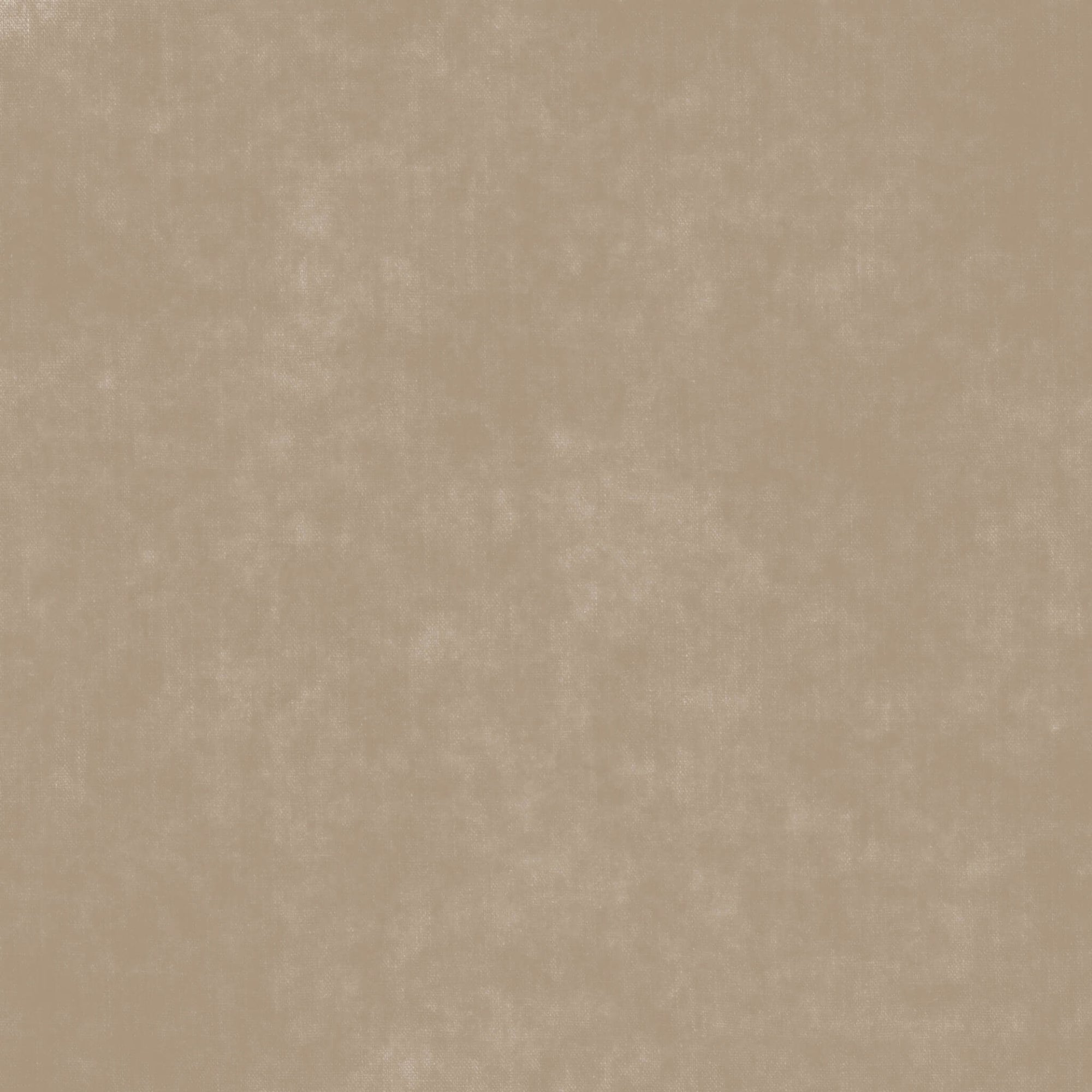 Opal Team – Opal Wellness